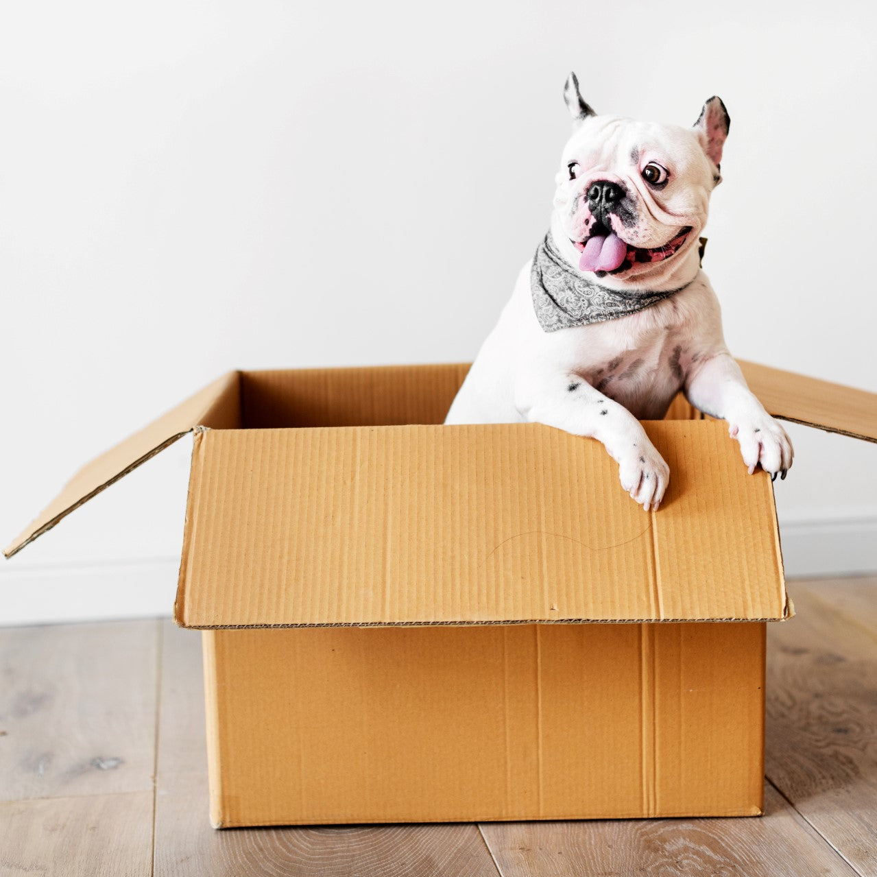 Moving House - Get support with moving your home or moving loved ones ...